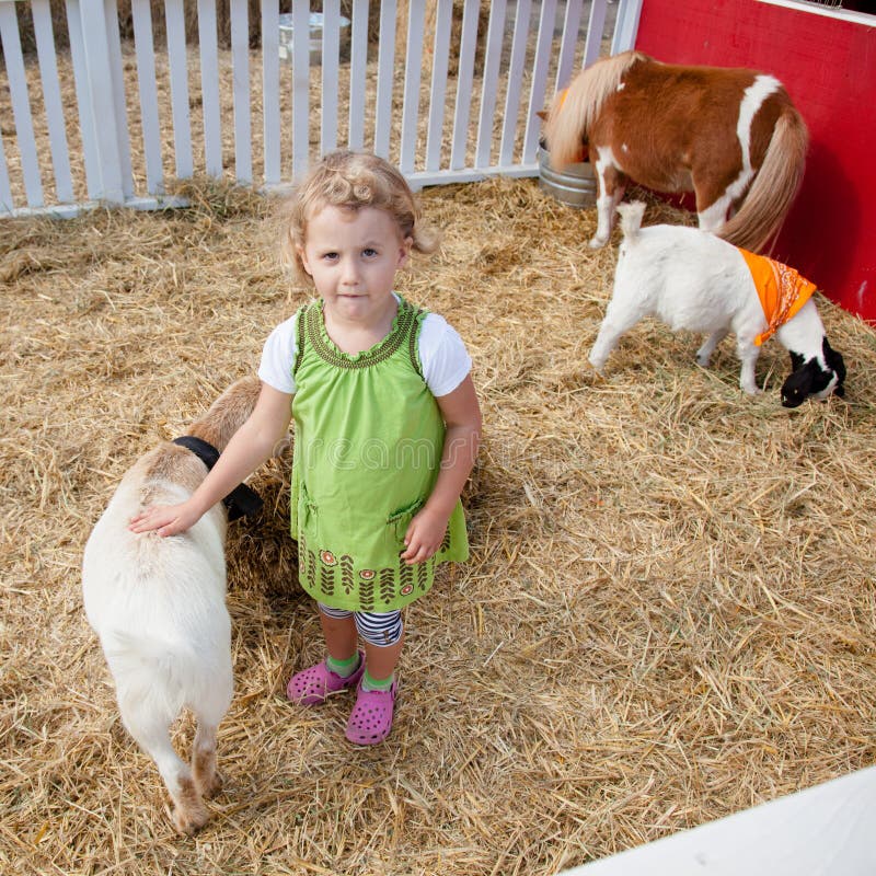 Petting farm animals stock photo. Image of field, together - 39041586