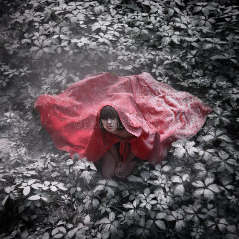 Peu De Capuchon Rouge Dans La Forêt Sauvage Image stock - Image du ...