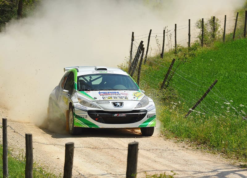 Peugeot 207 rally car editorial stock image. Image of drive - 14119209