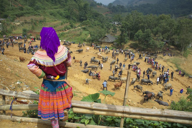 Peuple De H'Mong De Fleur Du Vietnam Photographie éditorial - Image du ...