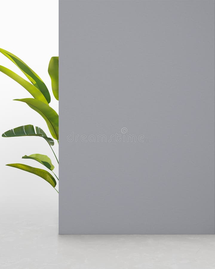 Pewter Grey Colored Wall with Plant, Background for Product ...