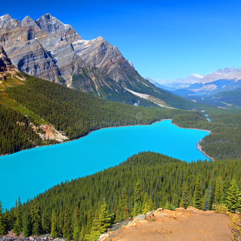Peyto Lake of Canada stock photo. Image of canada, magnificent - 24853796