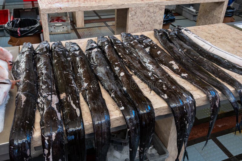 Pez Espada Negro En Madeira. Imagen de archivo - Imagen de interior, local: 258032131