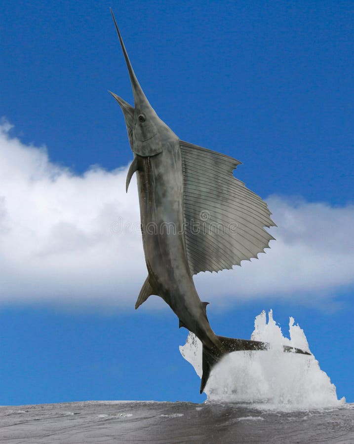 Naturaleza y Tropical Fotos De Stock, Imágenes, & Imágenes por Dreamstime