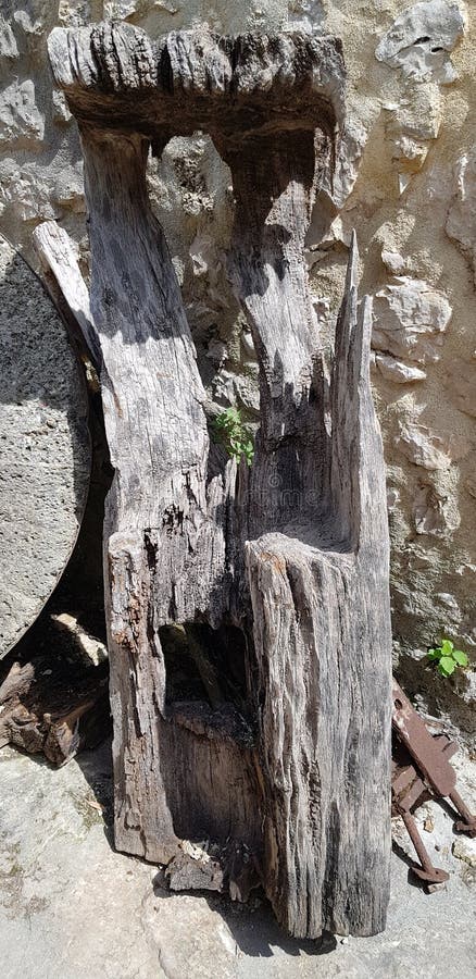 Pezzo Di Legno Marcio Dal Mulino Immagine Stock - Immagine di felice ...