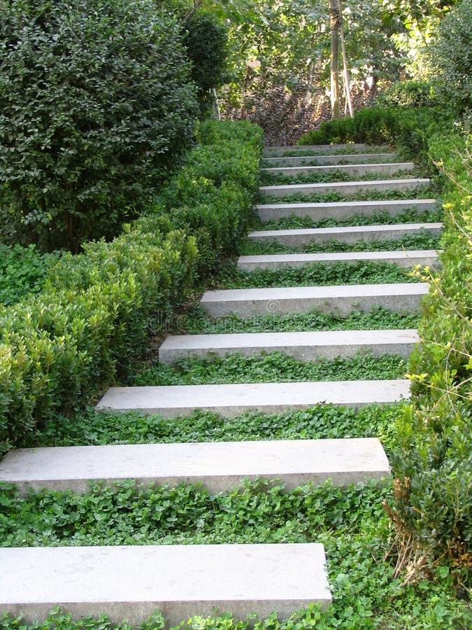 Pfad stockbild. Bild von aussicht, umgebung, frech, umlagerungen - 539753