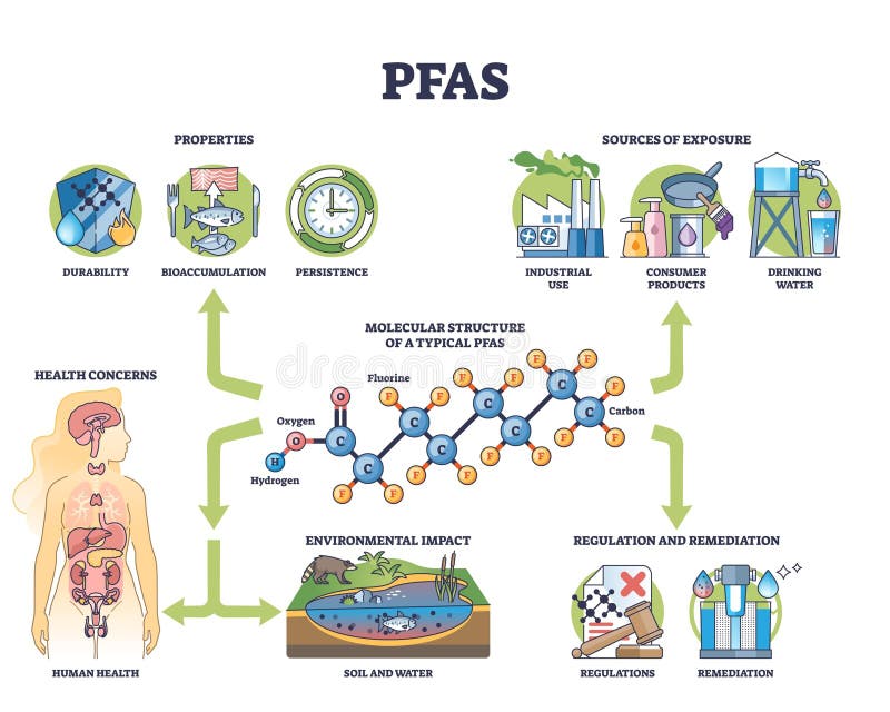 PFAS Diagram Outlines Exposure Sources, Health Concerns, and ...