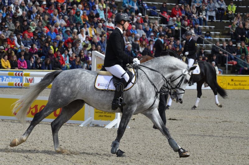 Stock Fotos: Hochauflösende Stockfotografie Und Lizenzfreie Bilder ...