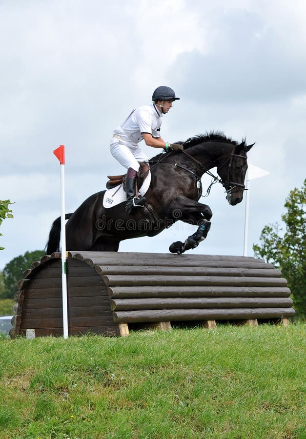 Pferd nach Sprung redaktionelles stockfoto. Bild von hindernis - 20072663
