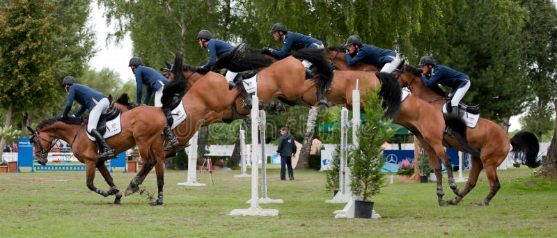 427 Springendes Pferd Fotos - Kostenlose und Royalty-Free Stock-Fotos ...