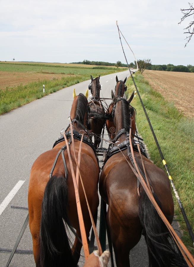 Pferd Der Vier Winde W?lben Sich, Eintritt, Um Vom Landhaus Doria ...