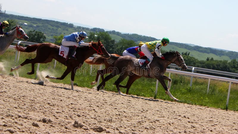Anfang Der Laufenden Pferde, Die Ein Rennen Beginnen Redaktionelles ...