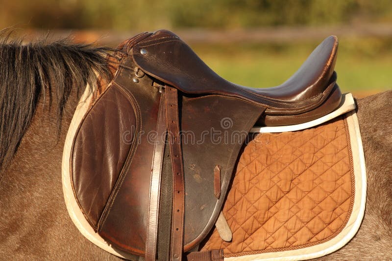 Pferdesattel stockfoto. Bild von pferd, grün, reiter - 45725436
