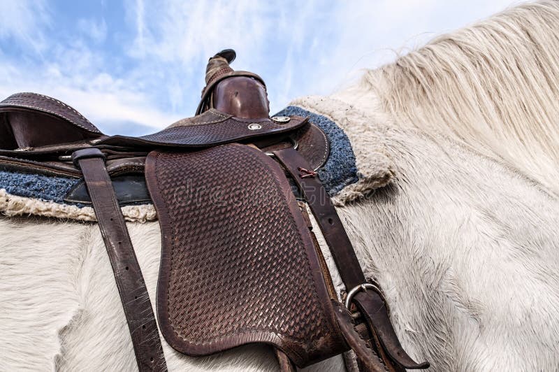 Pferdesattel, Leder, Decke stockbild. Bild von pferdeartig - 51380683