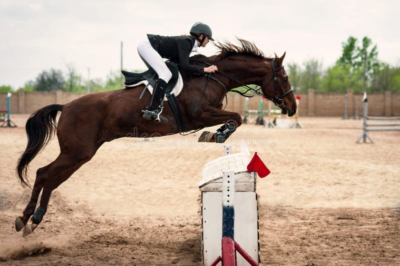 Springende Reiterin In Der Schwarzen Jacke Weicher Fokus Redaktionelles ...