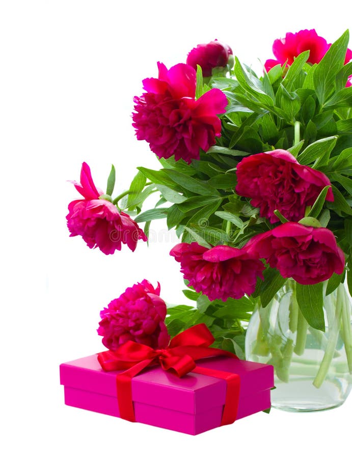 Pfingstrosenblumen Im Vase Mit Geschenkbox Stockfoto - Bild von blume ...