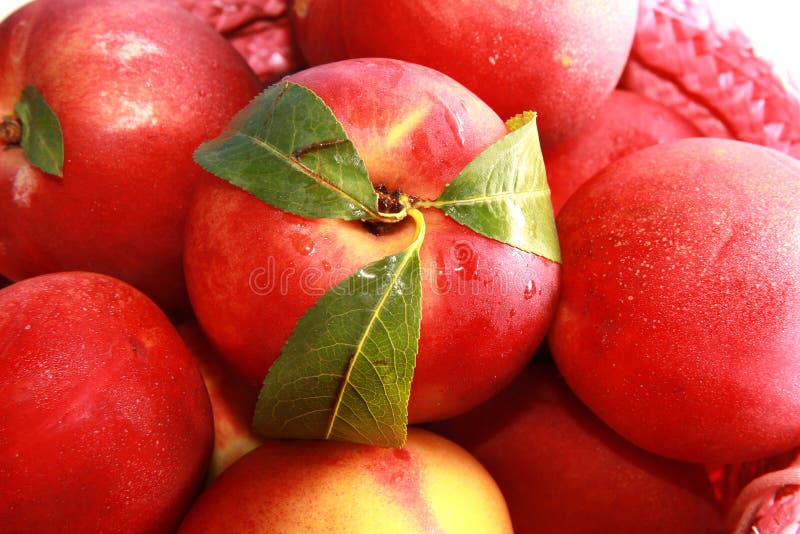 Pfirsich stockbild. Bild von getrennt, grün, orange, gelb - 14895567