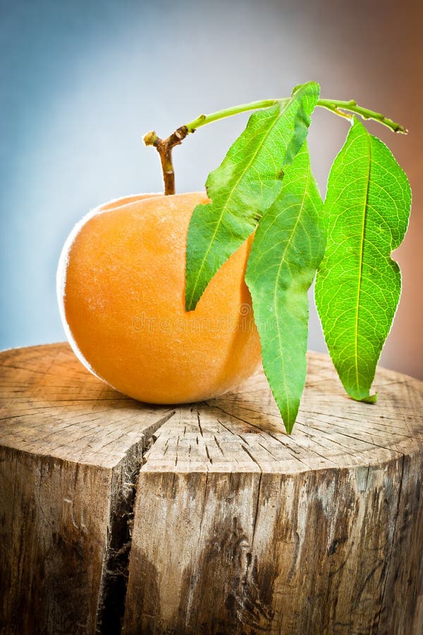 Pfirsich auf altem Holz stockbild. Bild von frucht, sommer - 23355885
