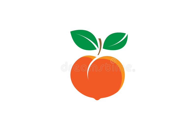 Pfirsich-Orangen-Logo vektor abbildung. Illustration von piktogramm ...