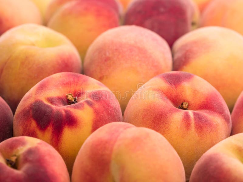 Pfirsiche stockbild. Bild von frucht, dynamisch, nahrung - 26418231