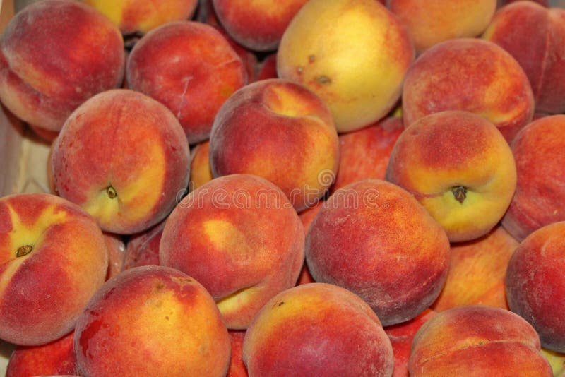 Pfirsiche stockfoto. Bild von pfirsich, österreich, verkauf - 75683484
