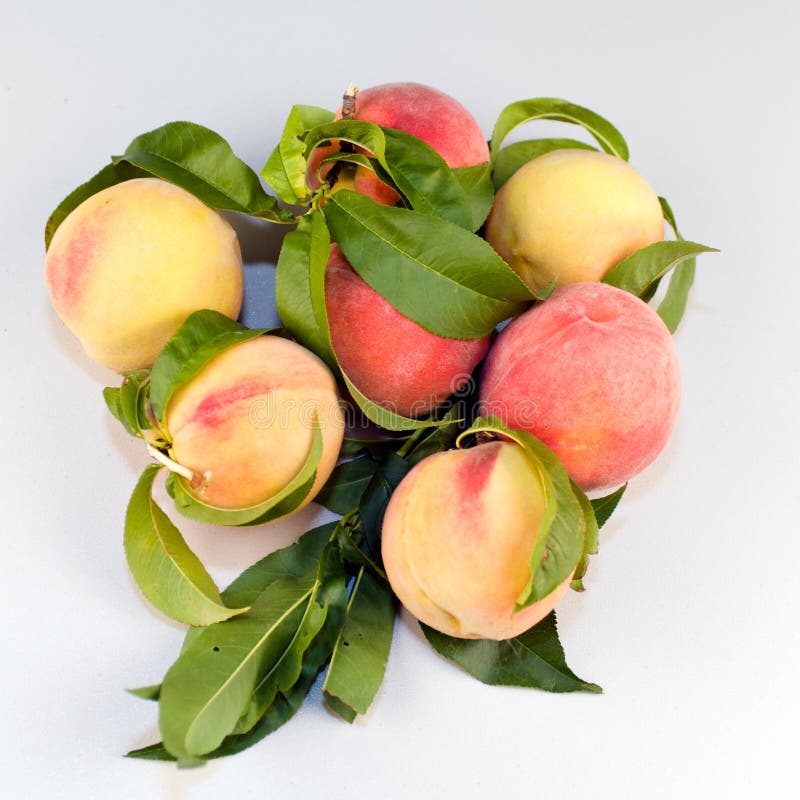 Pfirsiche auf dem Tisch stockbild. Bild von grün, orange - 15384099