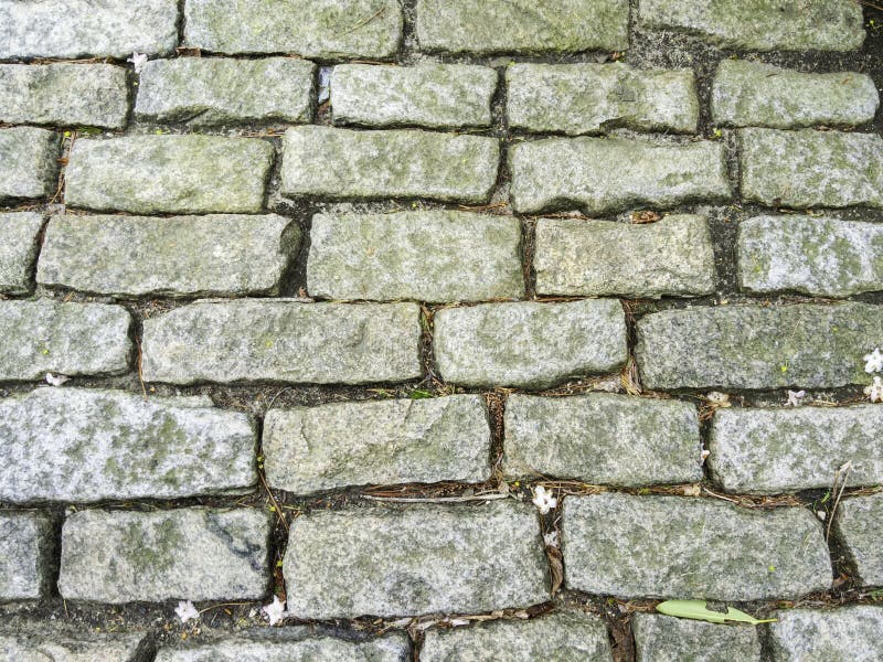 Pflasterstein, Der Weg Pflastert Stockfoto - Bild von england ...