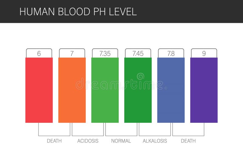 Ph Blood Scale. Normal Range of Ph Level in Human Blood. Ph Analysis or ...