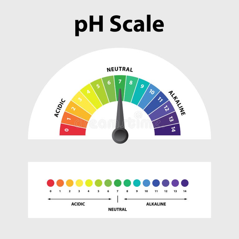 Ph Level Scale Chart Indicator Diagram Value. Stock Vector ...