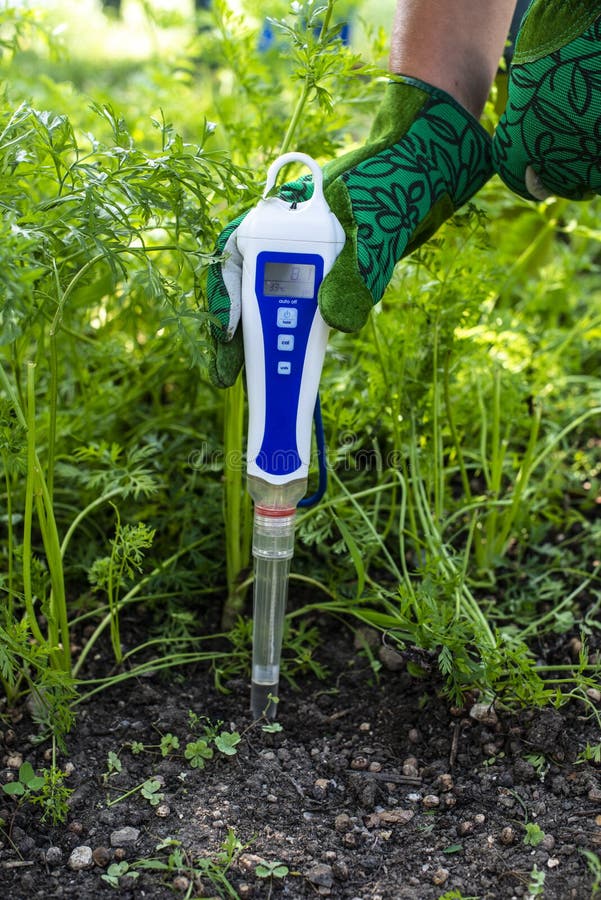 PH Meter Tester in Soil. Measure Soil with Digital Device Stock Image ... PH Meter Tester in Soil. Measure Soil with Digital Device Stock Image ...