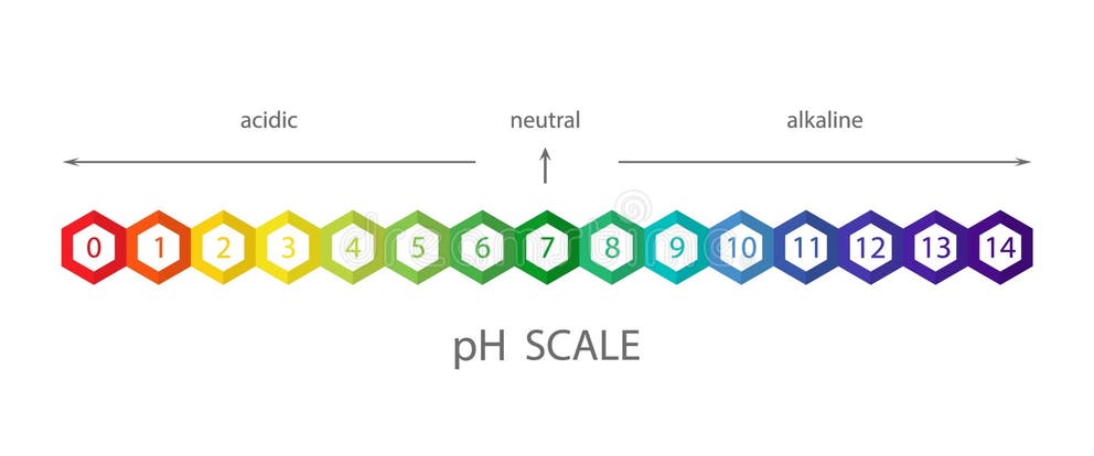 PH Scale. Acid and Alkaline Solution Infographic. Chemical Analysis or ...