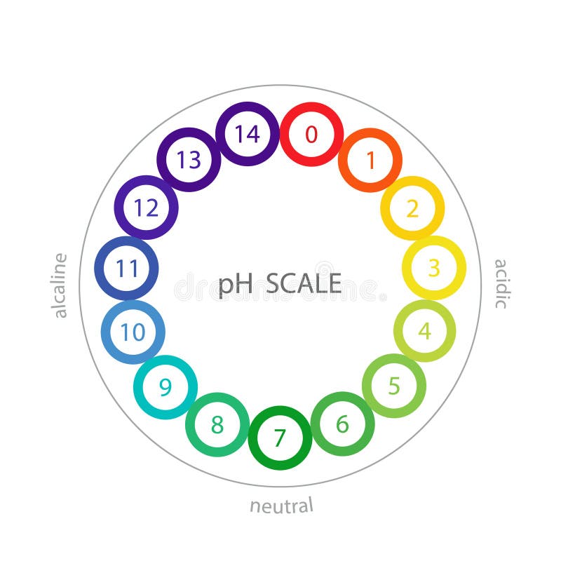 PH Scale. Acid and Alkaline Solution Infographic. Chemical Analysis or ...