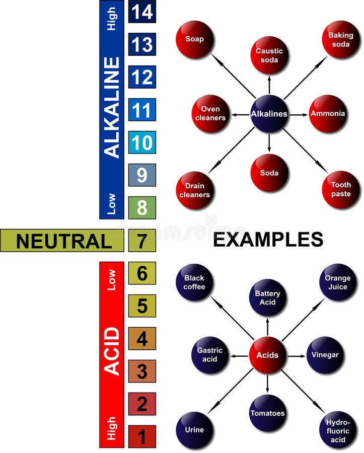 Ph Scale - Acids and Alkalines Examples Stock Illustration ...