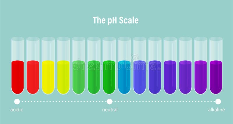 The PH Scale. Ph Alkaline, Neutral and Acidic Scale. Vector ...