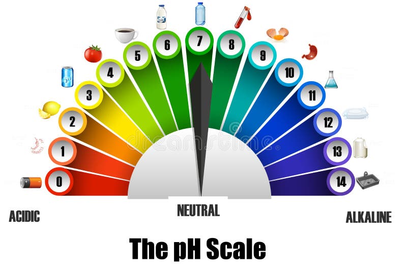 Whiteph Scale Stock Illustrations – 1 Whiteph Scale Stock Illustrations ...