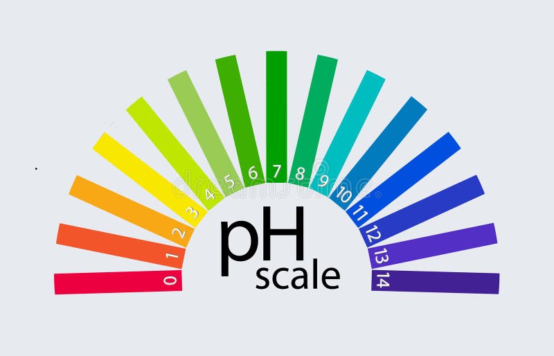 PH Scale Chart for Acid and Alkaline Solutions. Acid-base Balance ...