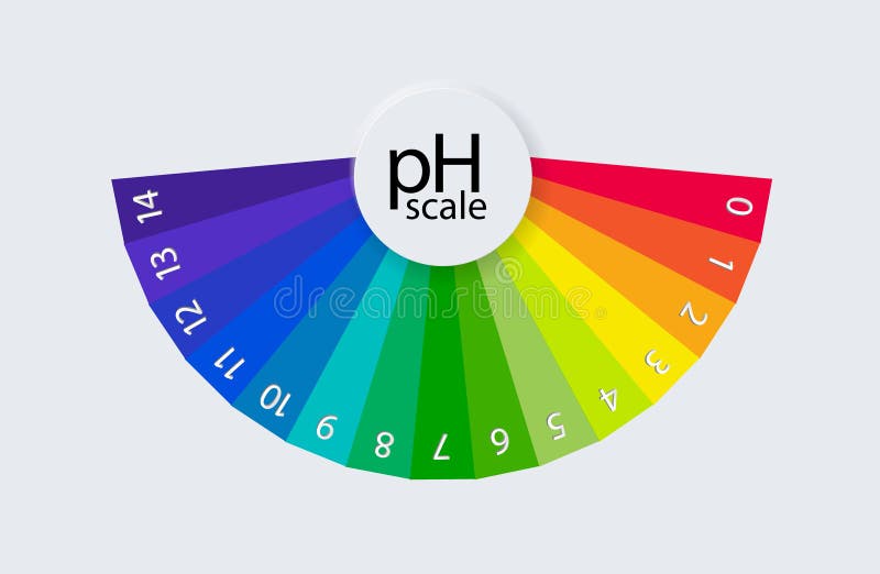 PH Scale Chart for Acid and Alkaline Solutions. Acid-base Balance ...