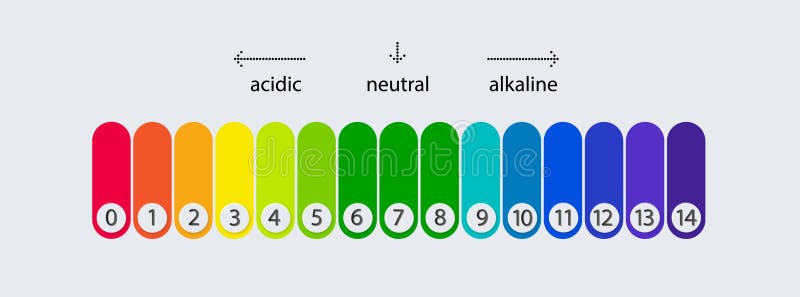 PH Scale Chart for Acid and Alkaline Solutions. Acid-base Balance ...