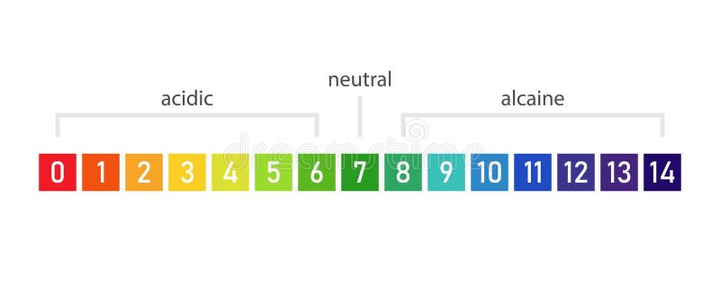 PH Scale Chart. Clipart Image Stock Vector - Illustration of water, base: 210308651