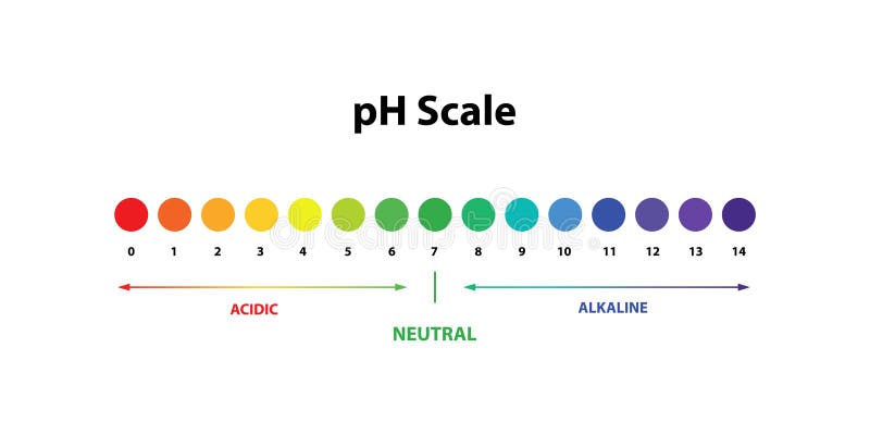 Ph Scale Chart Indicator Diagram Value Stock Vector - Illustration of ...