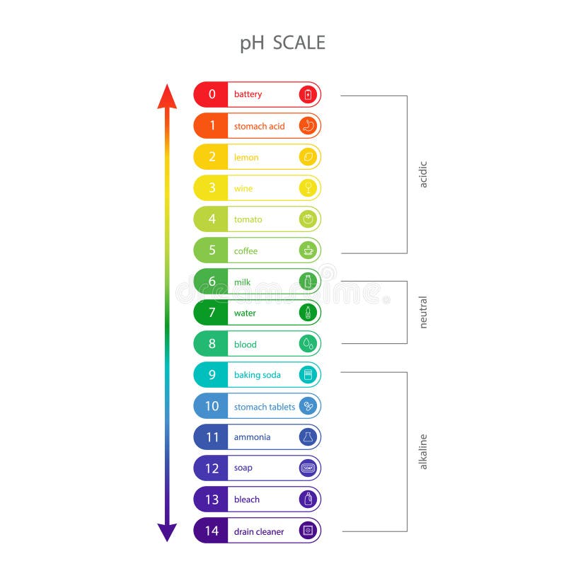 PH Scale Chart. Indicator of Indications, Measurements and Table of ...