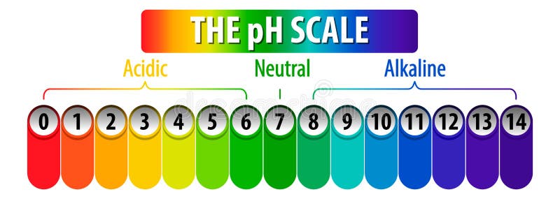 The PH Scale Diagram on White Background Stock Vector - Illustration of ...