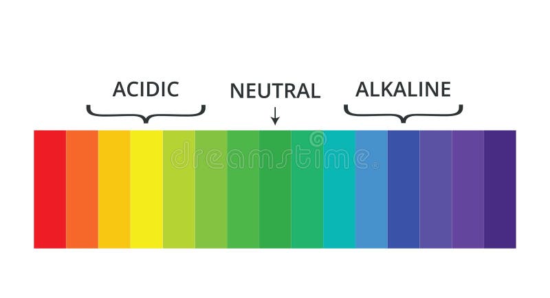 Ph Scale with Labels and Spectrum Indicators. Stock Vector ...