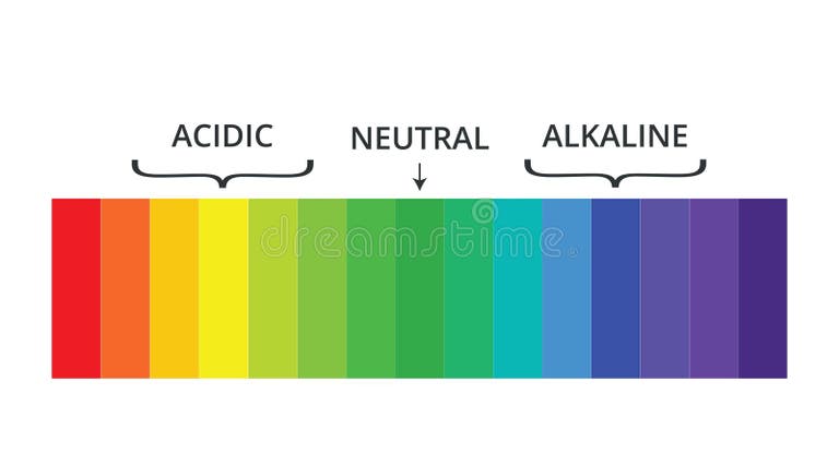 Ph Scale with Labels and Spectrum Indicators. Stock Vector ...