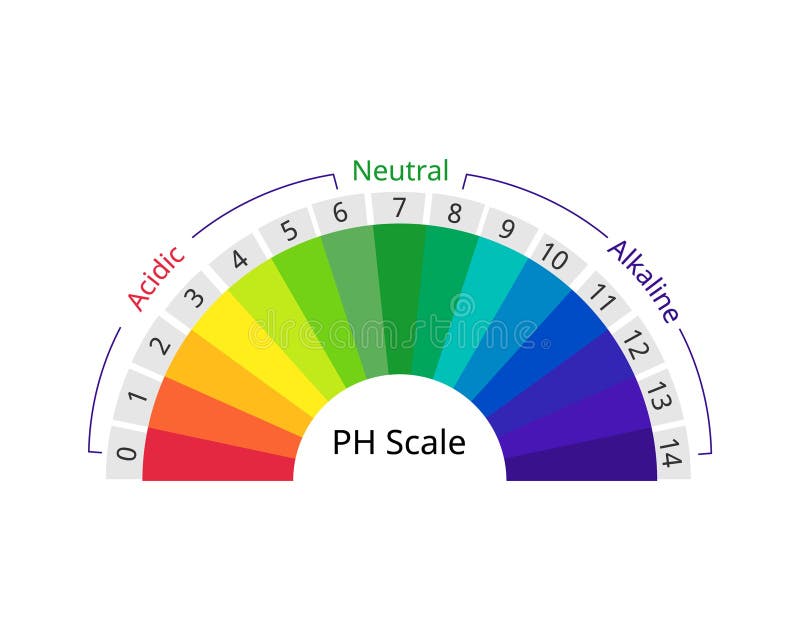 PH Scale is a Measure of How Acidic or Basic Water is. the Range Goes ...