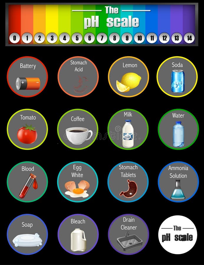 Ph Scale - Acids and Alkalines Examples Stock Illustration ...
