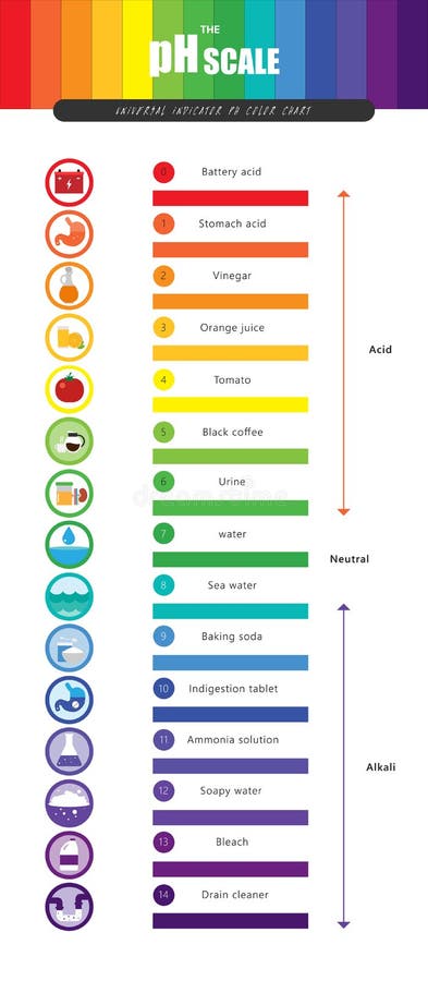 Colors Acids Chart Ph Scale Hi Res Stock Photography And Images