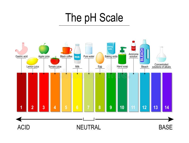 PH Scale. Universal Indicator PH Stock Vector - Illustration of healthy ... PH Scale. Universal Indicator PH Stock Vector - Illustration of healthy ...