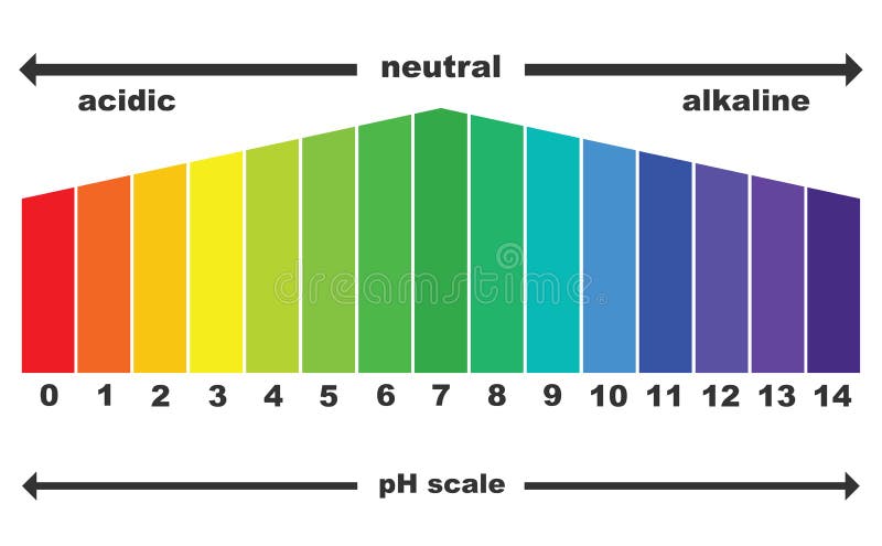 The PH Scale Universal Indicator PH Color Chart Diagram Stock Vector ...