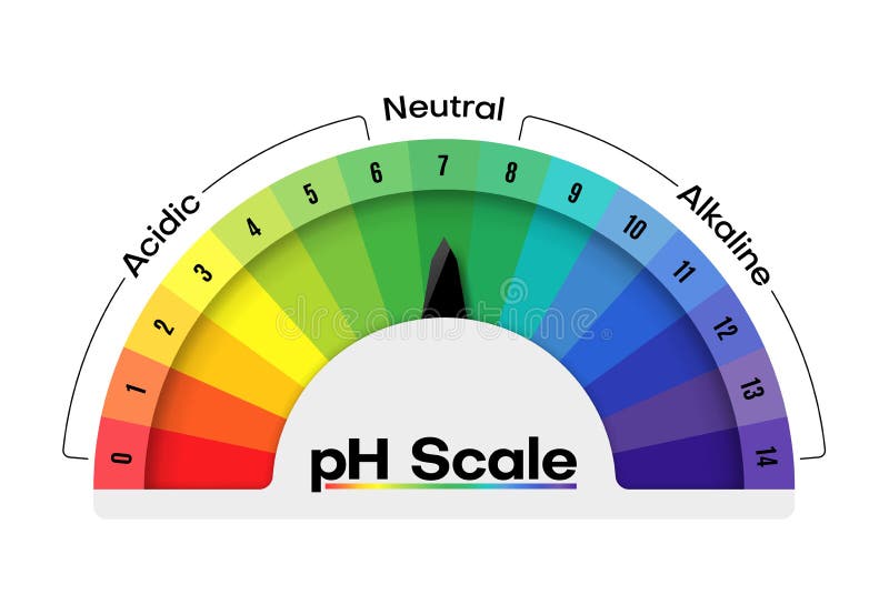 Ph Scale Examples